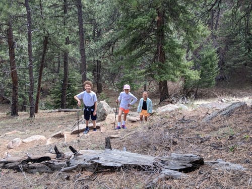 Best Hikes and Trails in Lost Gulch Overlook | AllTrails