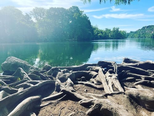 Best Hikes and Trails in Red Bud Isle | AllTrails