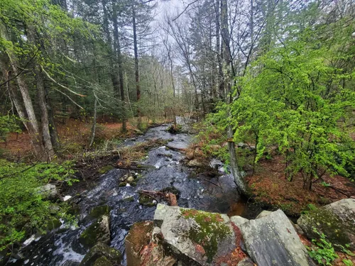 10 Best Trails and Hikes in Andover | AllTrails