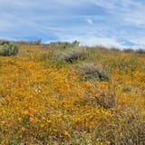North Loop, Antelope Butte and Lightning Bolt Loop, California - 385 ...