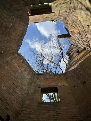Best Hikes and Trails in Blean Woods Nature Reserve | AllTrails