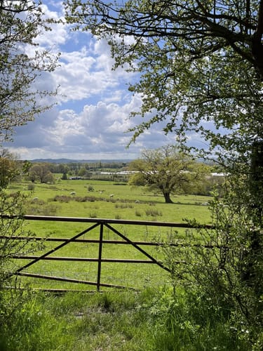 Best Hikes and Trails in Blean Woods Nature Reserve | AllTrails