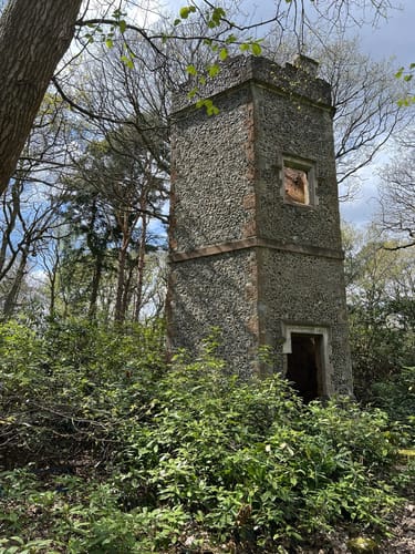 Best Hikes and Trails in Blean Woods Nature Reserve | AllTrails