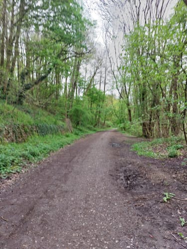 Best Hikes and Trails in Reddish Vale Country Park | AllTrails