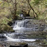 Lough Eske Nature Loop, County Donegal, Ireland - 137 Reviews, Map ...