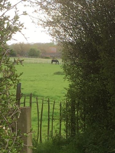 2023 Best Lake Trails in Colne Valley Park | AllTrails