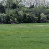 Longview Lake and Little Blue River, Missouri - 703 Reviews, Map ...