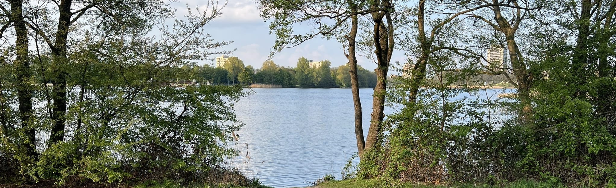 Bossche Broek - Zuiderplas: 7 Reviews, Map - North Brabant, Netherlands ...