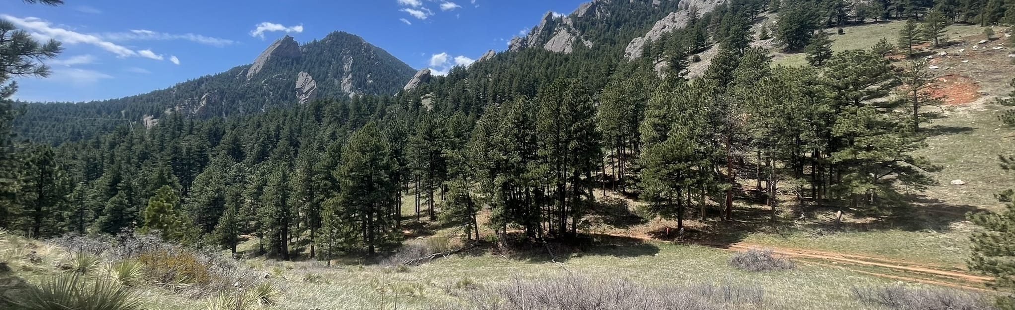 Bear Peak via NCAR: 1416 Reviews, Map - Colorado | AllTrails