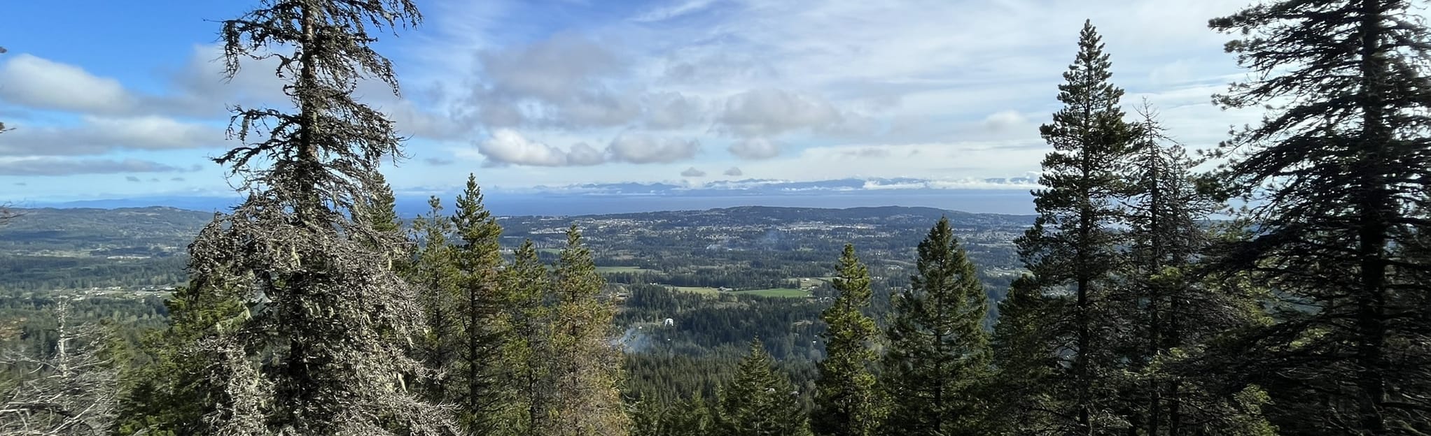 Mount Benson Loop: 1222 Reviews, Map - British Columbia, Canada | AllTrails