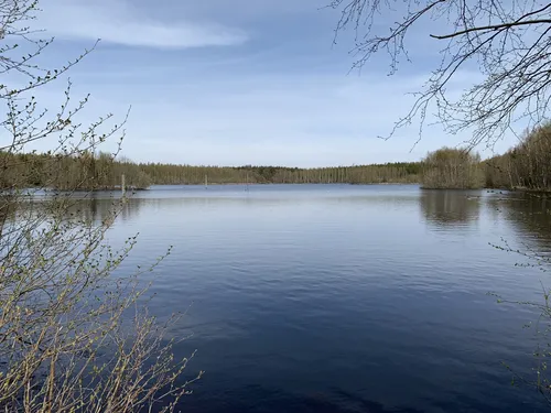 Best Forest Trails in Fulltofta naturreservat | AllTrails