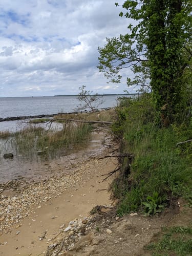 Best Hikes and Trails in Ferry Point Park | AllTrails