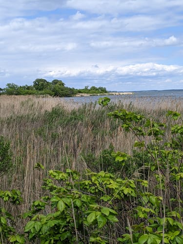 Best Hikes and Trails in Ferry Point Park | AllTrails