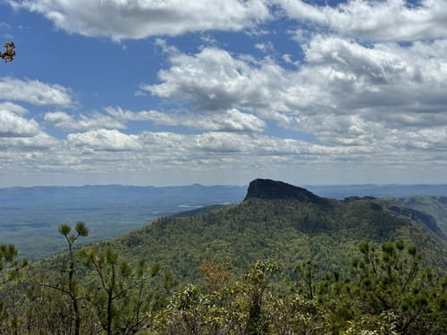 Best Hikes and Trails in Jonas Ridge | AllTrails