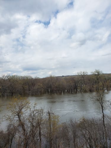 Best Hikes and Trails in Harriet Island Regional Park | AllTrails
