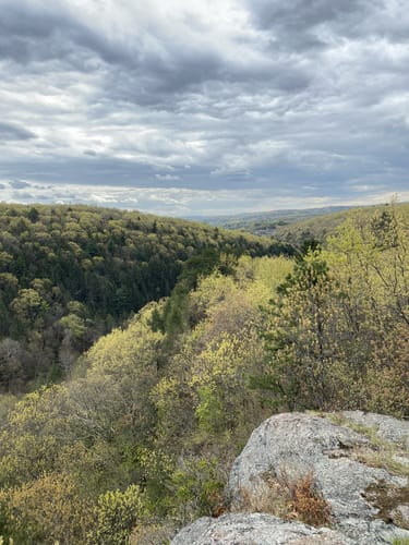 Best Hikes and Trails in Mattatuck State Forest | AllTrails