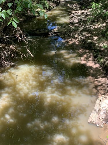 Best Hikes and Trails in Rose Rudman Park | AllTrails