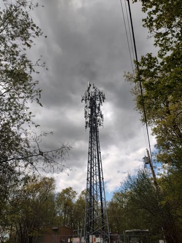 Best Hikes and Trails in Red Wing Recreation Area | AllTrails