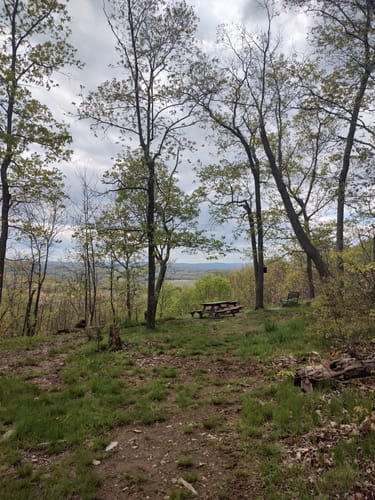 Best Hikes and Trails in Red Wing Recreation Area | AllTrails