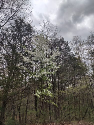 Best Hikes and Trails in Red Wing Recreation Area | AllTrails