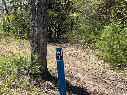 Best Hikes and Trails in Randolph State Park | AllTrails