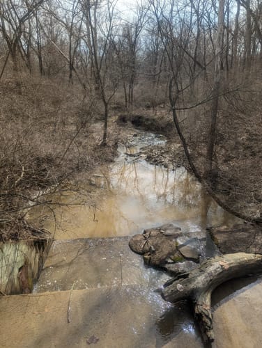 Best Hikes and Trails in Edgar M Queeny County Park | AllTrails