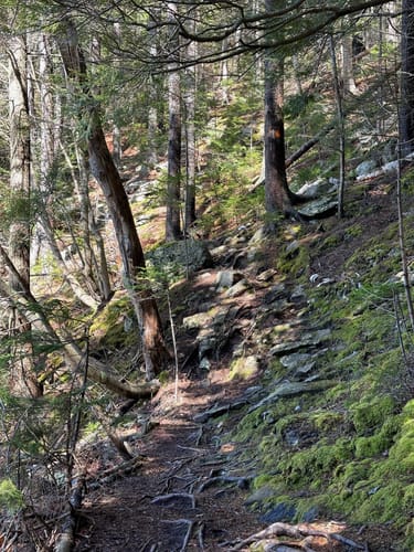 Best Hikes and Trails in Plummer Point Reserve | AllTrails