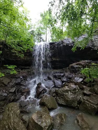 Best Hikes and Trails in Waldron | AllTrails