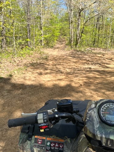 2023 Best Off Road Driving Trails in Ozark | AllTrails