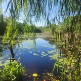 Sheldon Lake State Park Nature Loop, Texas - 245 Reviews, Map | AllTrails