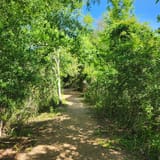 Sheldon Lake State Park Nature Loop, Texas - 245 Reviews, Map | AllTrails