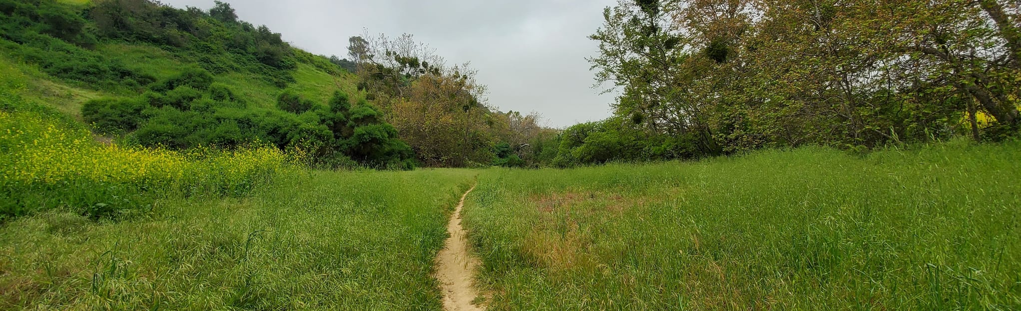 Lopez Canyon Trail: 208 Reviews, Map - California | AllTrails