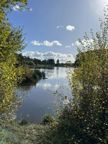 Best 10 Hiking Trails in Creswick State Forest | AllTrails