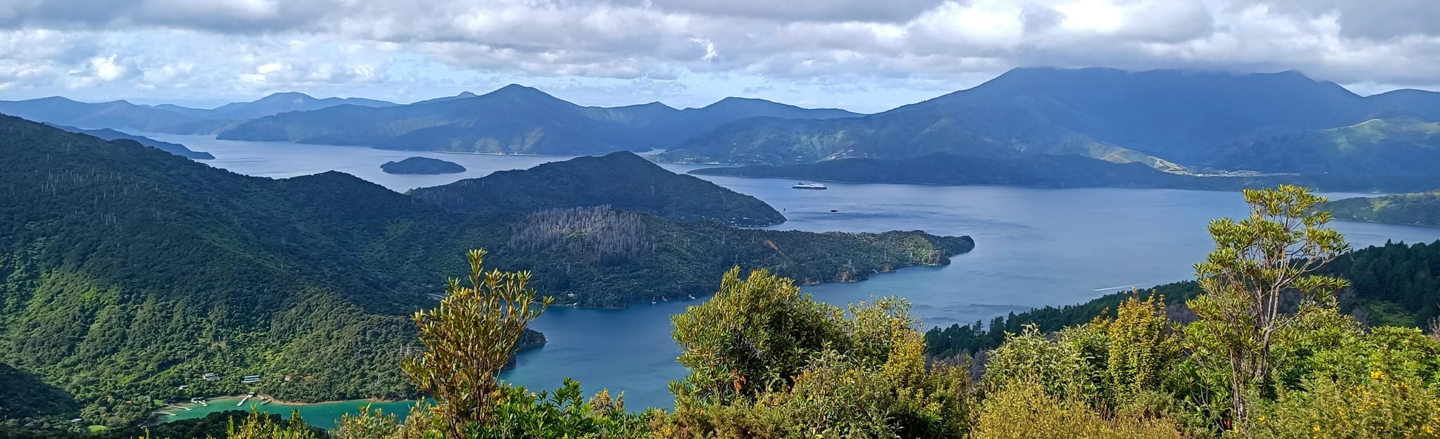 Onahau Lookout, Marlborough, New Zealand - 42 Reviews, Map | AllTrails