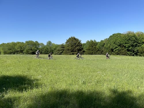 Best Hikes and Trails in Erwin Municipal Park | AllTrails