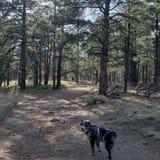 Sandy Seep Trail, Arizona - 675 Reviews, Map | AllTrails
