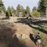 Sandy Seep Trail, Arizona - 675 Reviews, Map | AllTrails