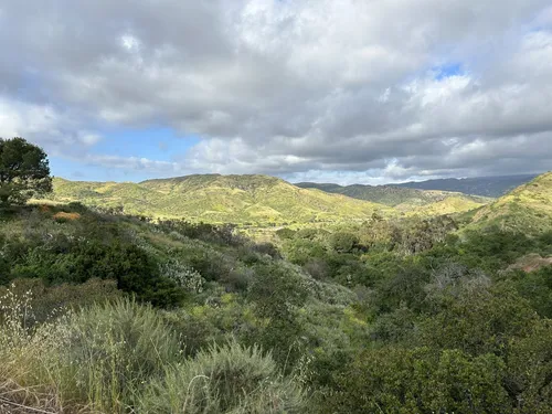 Best Hikes and Trails in Irvine Regional Park | AllTrails