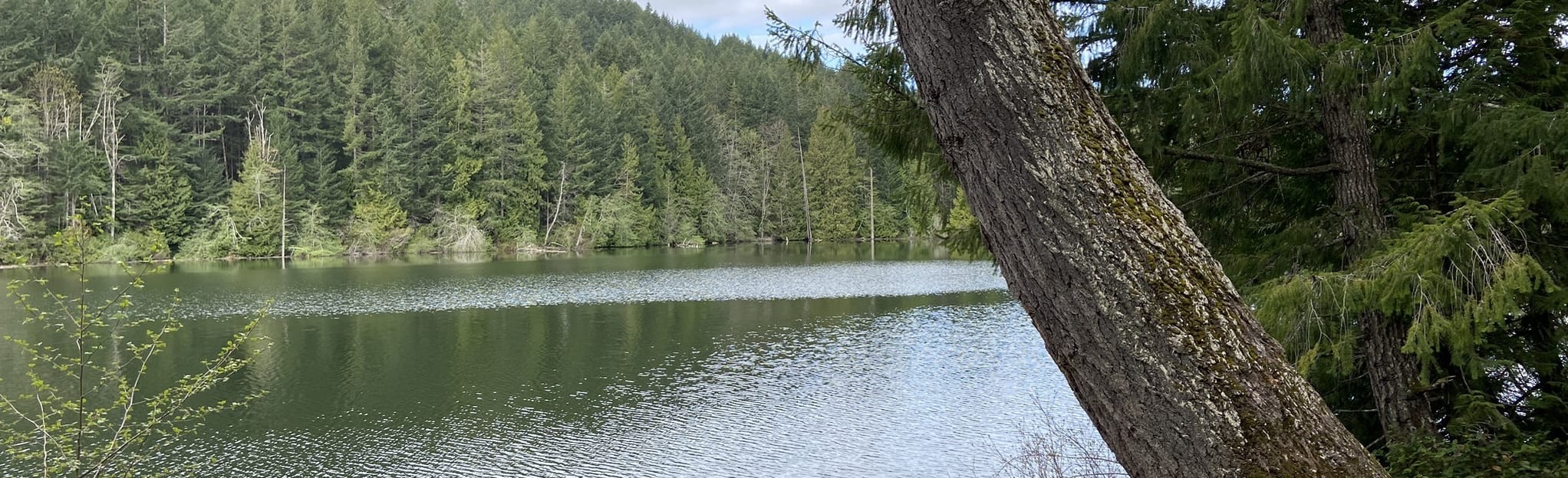 Cole Hill and Partridge Hills Loop, British Columbia, Canada - 86 ...