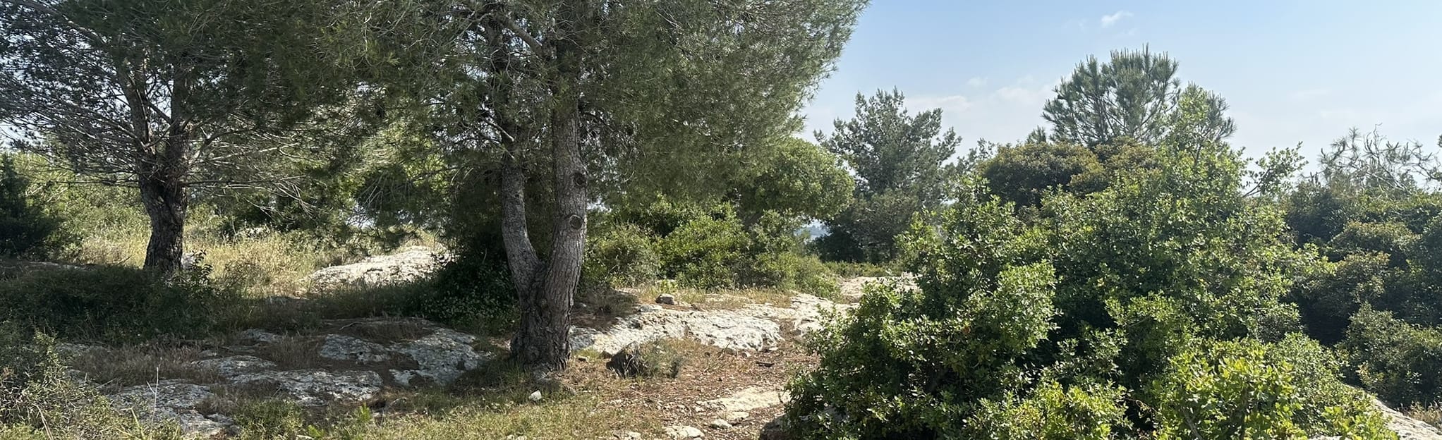 Shimron National Park, Kfar HaHoresh Forest and Timrat Farm, Northern ...