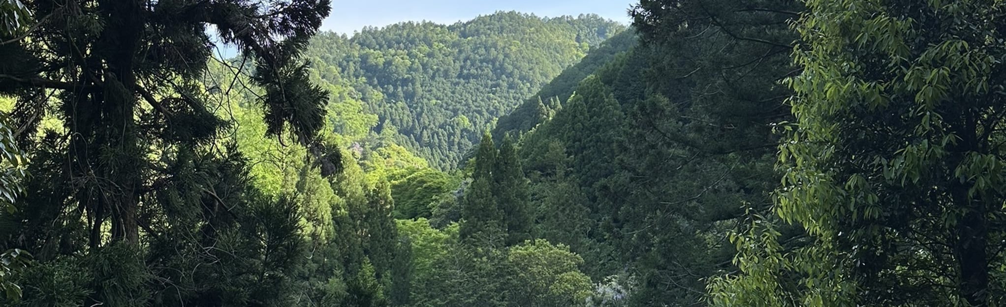 Mount Atago Loop: 46 Reviews, Map - Kyoto, Japan | AllTrails