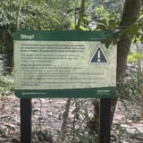 Conondale Range Great Walk: Booloumba Creek - Wongai Camp, Queensland ...