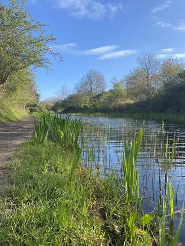 Manteling van Walcheren: de 10 beste routes om te wandelen | AllTrails