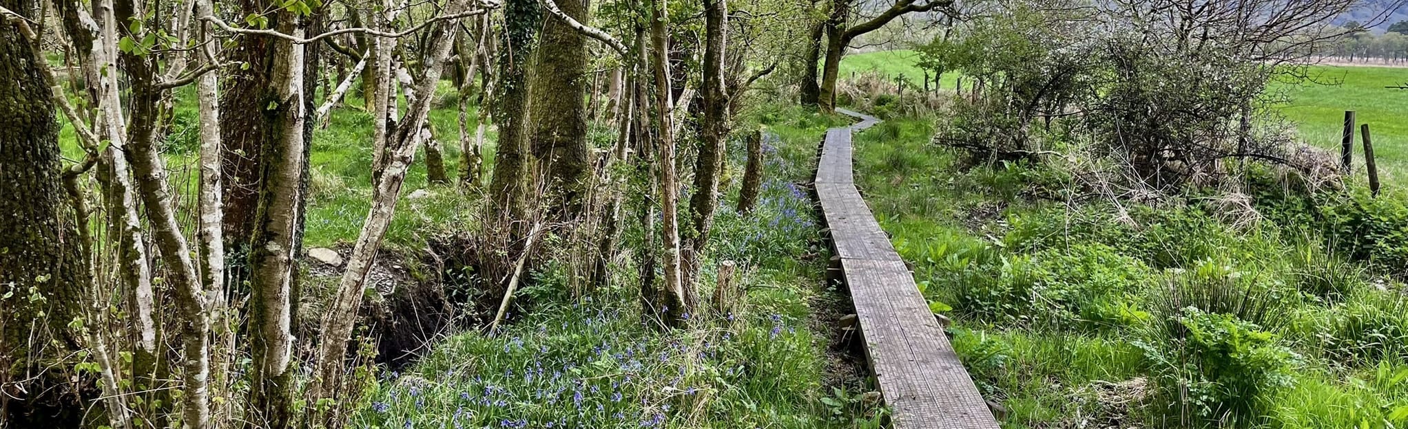 Hay Bridge Nature Reserve Circular: 12 Fotos - Cumbria, England ...