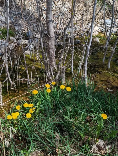 Best Hikes and Trails in Lynn and Merle Olsen Park | AllTrails