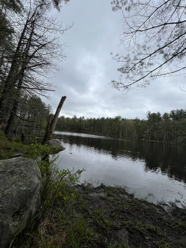 2023 Best Easy Trails in Upton State Forest | AllTrails