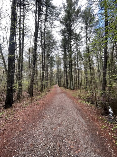 2023 Best Easy Trails in Upton State Forest | AllTrails