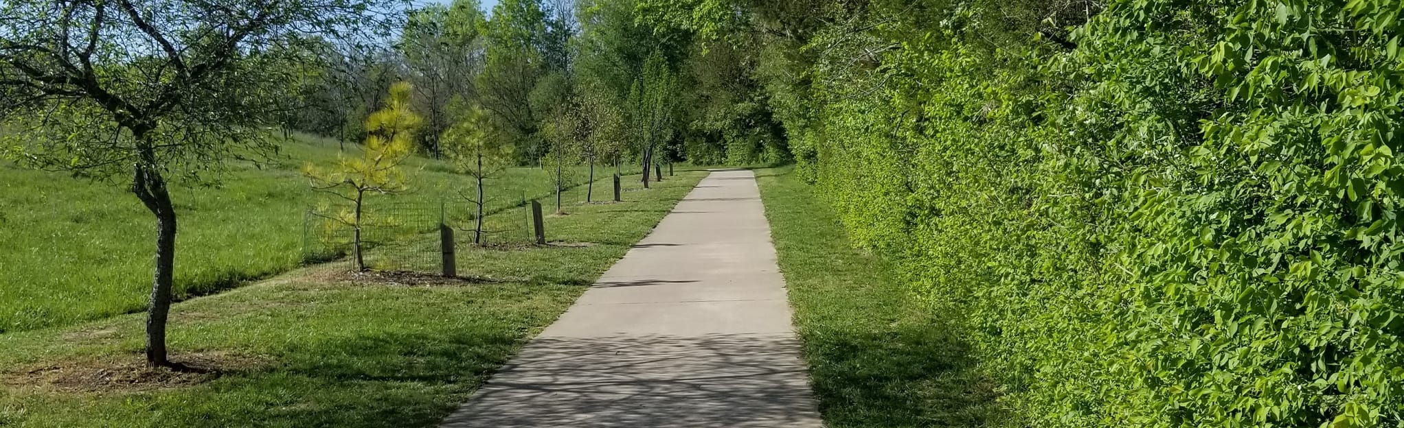 Acorn Trail, Missouri - 83 Reviews, Map | AllTrails