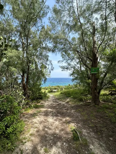 10 Best Trails and Hikes in Bermuda | AllTrails