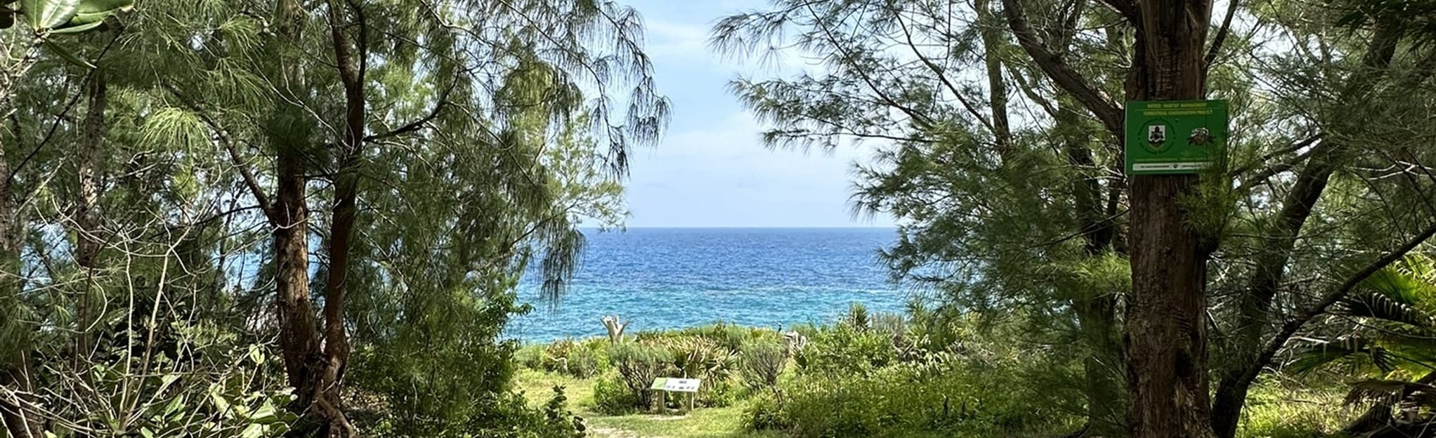 Spittal Pond : 24 Reviews, Map - Smith's, Bermuda | AllTrails